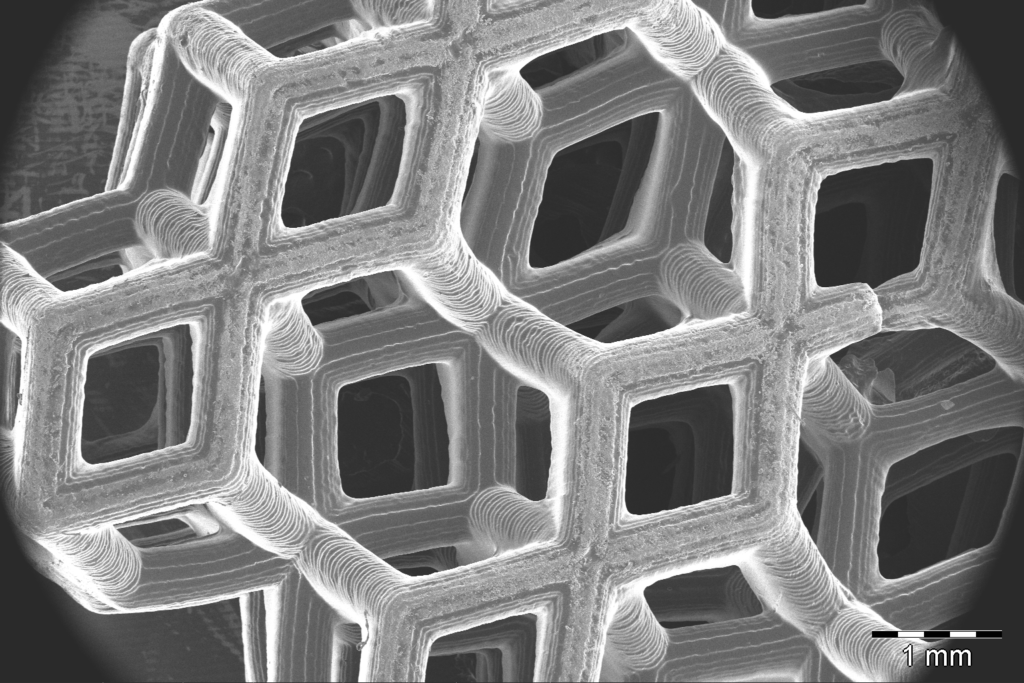 UW Molecular Analysis Facility adds new Scanning Electron Microscope – NanoES