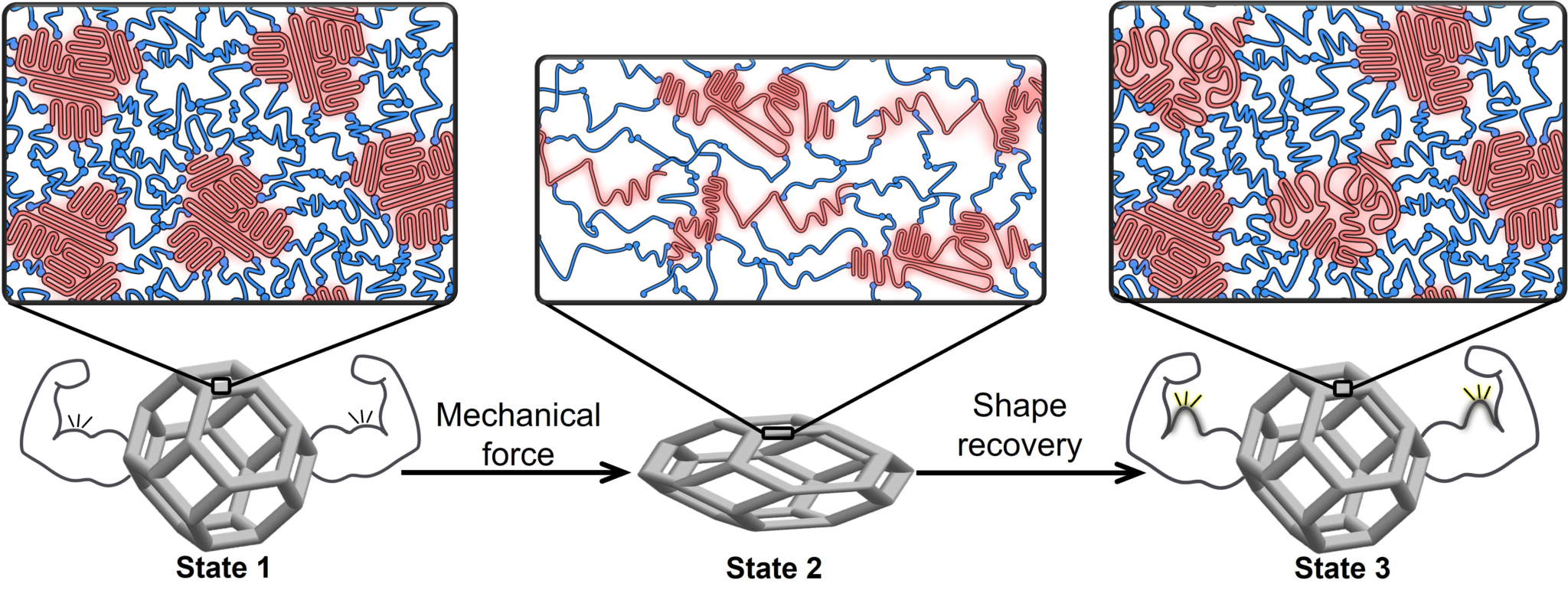 Revolutionizing Sustainable Materials: Strain Learning Metamaterials ...